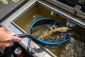 CLAM Floating Livewell and Trout Net – Dewey Catchem & How